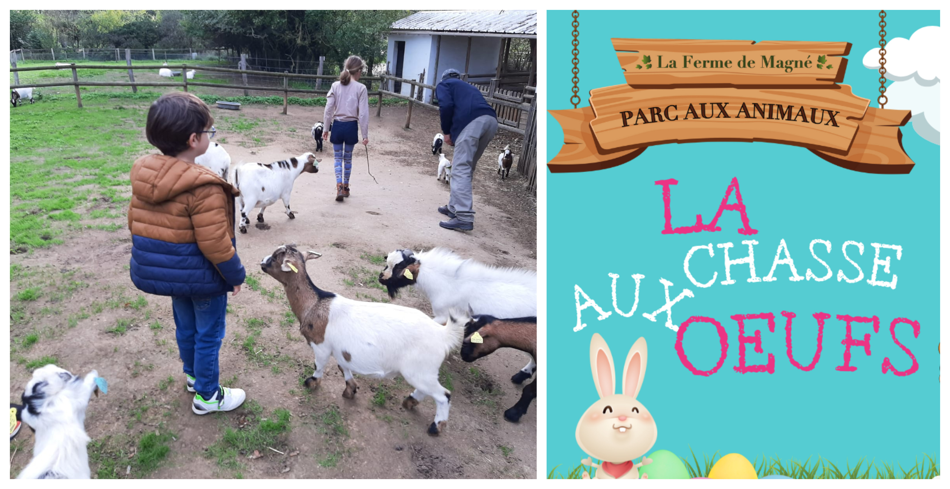 Chasse aux oeufs à la Ferme de Magné à Ste Gemme, près de Rochefort et ...