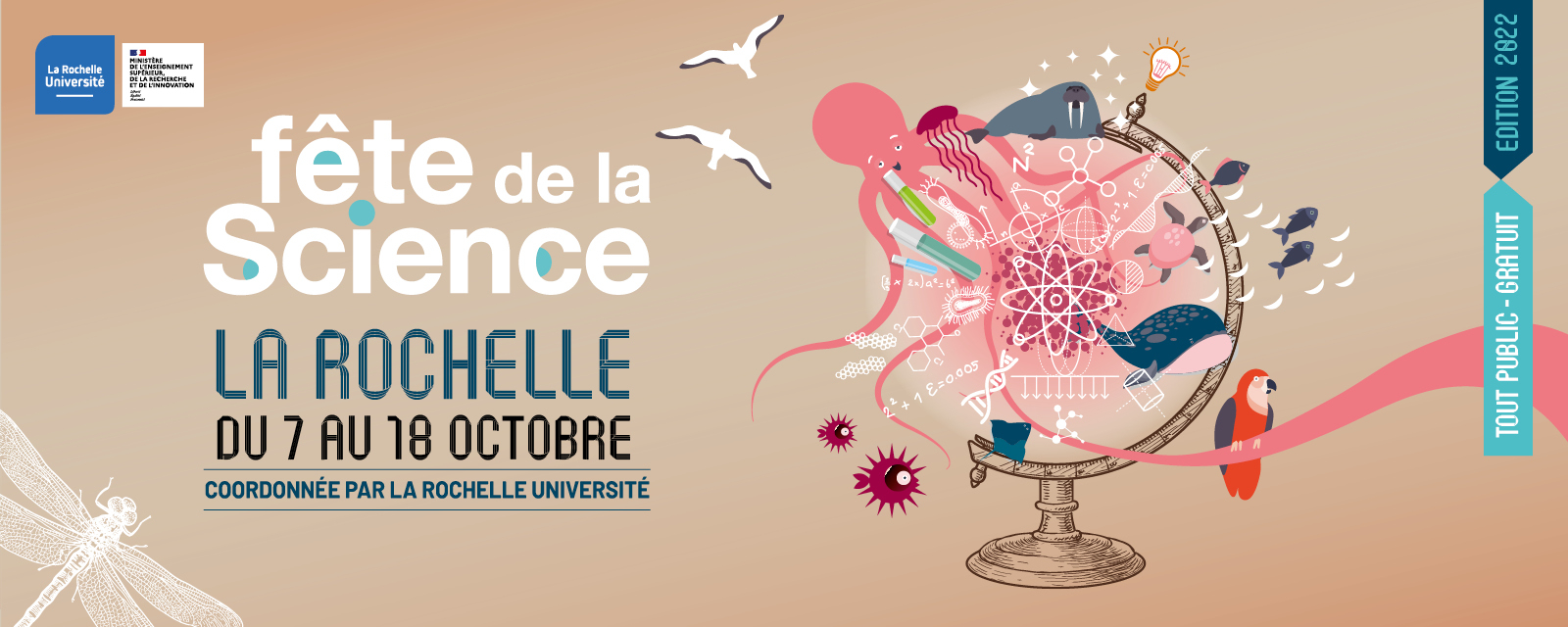 "L’affaire Ziphia", enquête scientifique interdisciplinaire | Musée ...